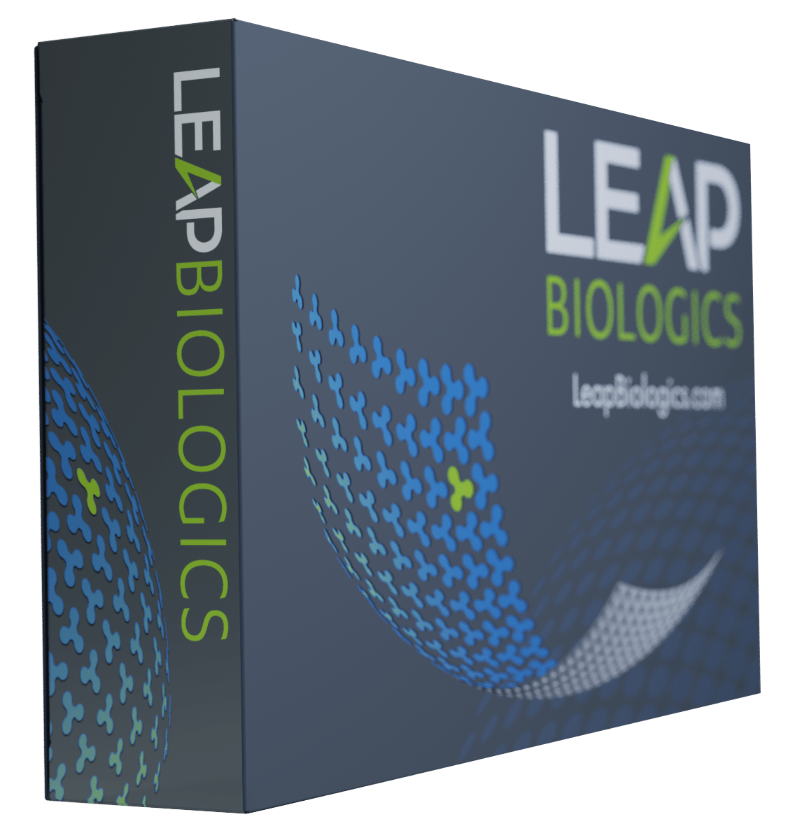 DBM Crush-Mix – Leap Biologics